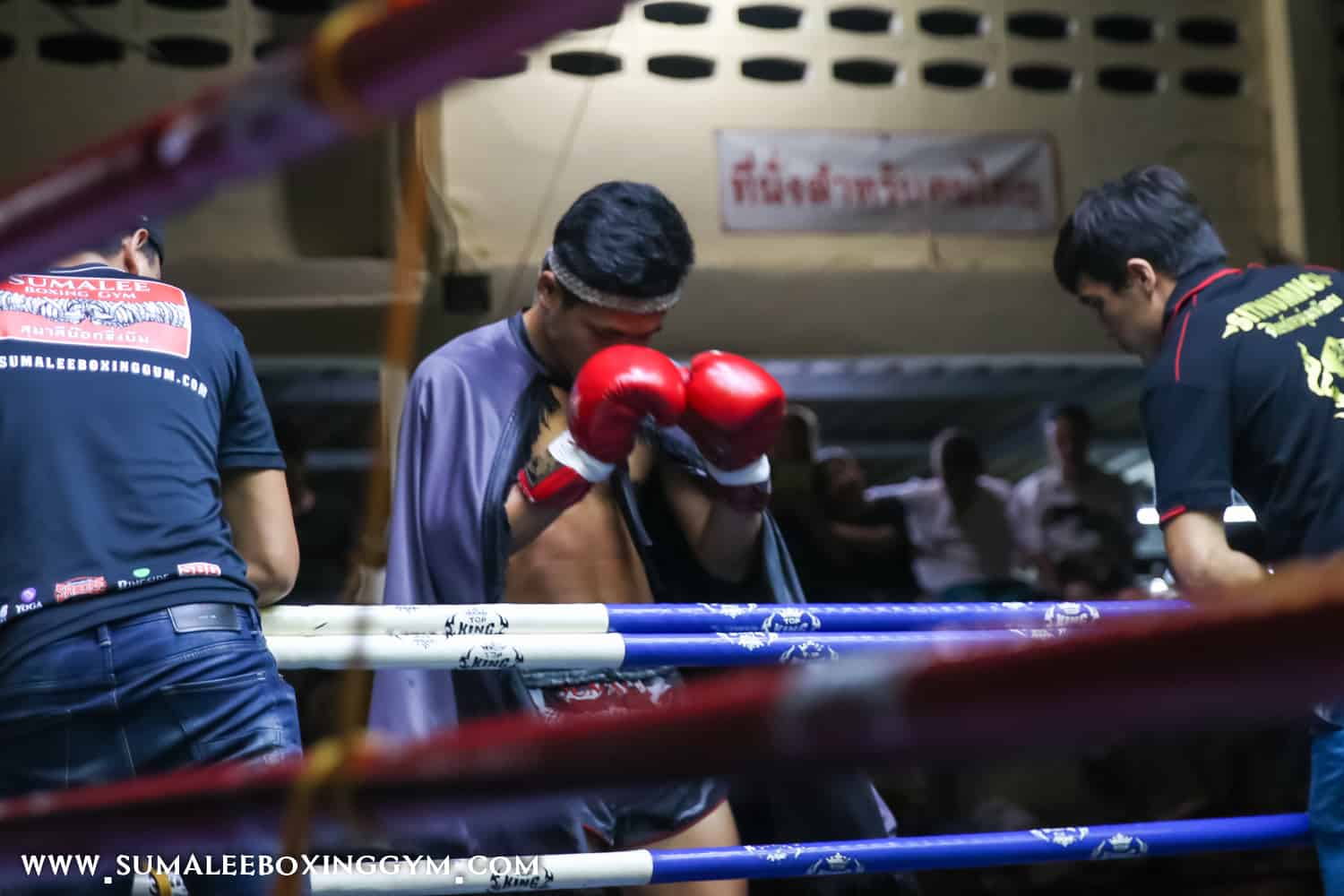 Watch Ellie Burr Sumalee and Yok Sumalee Fight At Patong Stadium