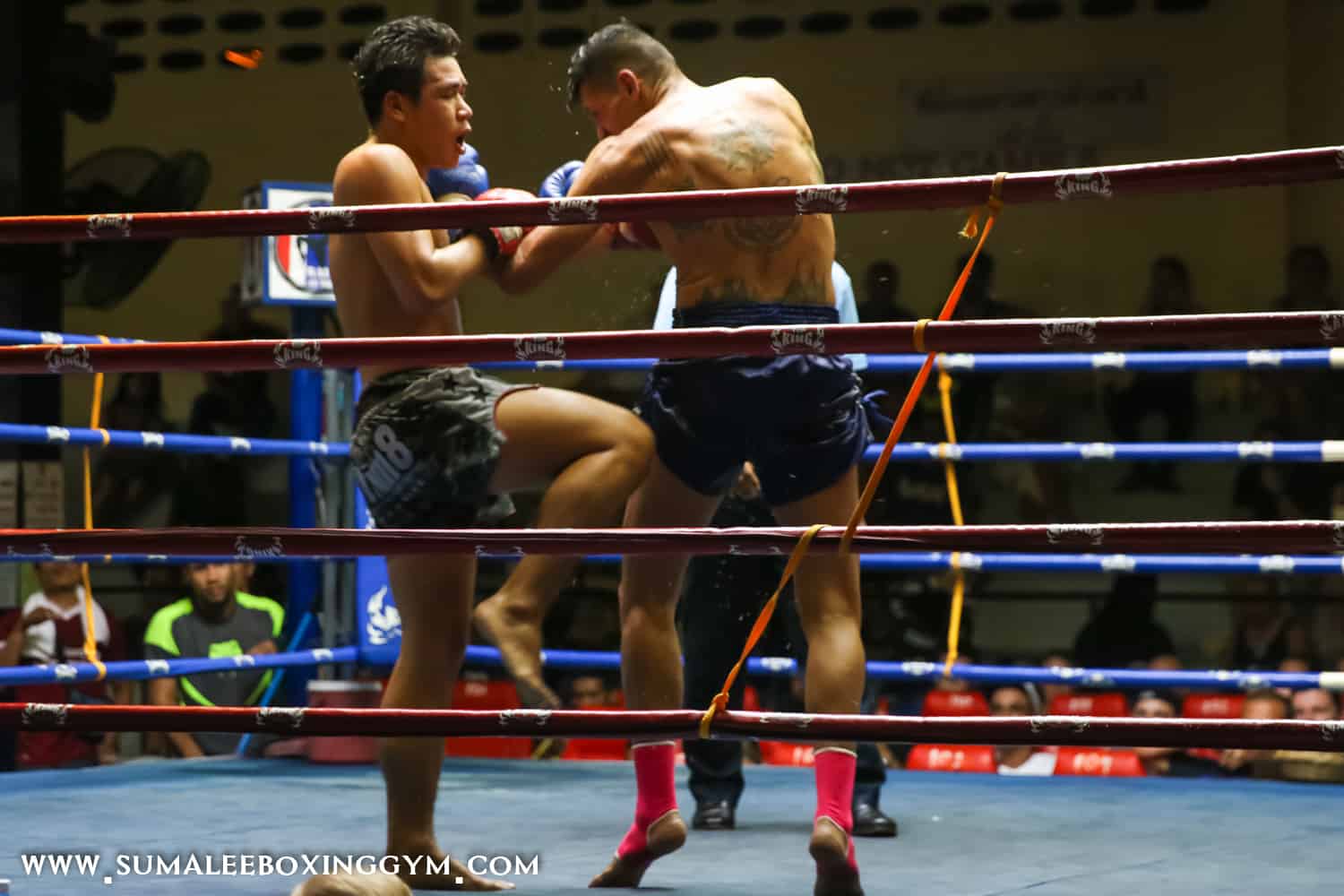 Watch Ellie Burr Sumalee and Yok Sumalee Fight At Patong Stadium