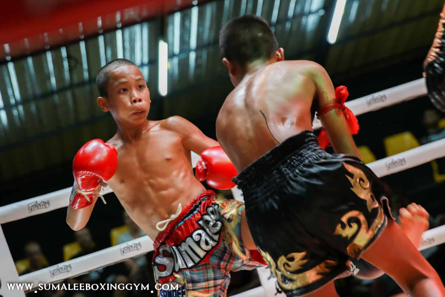 Teedurm Sumalee - Left Cross | Sumalee Boxing Gym