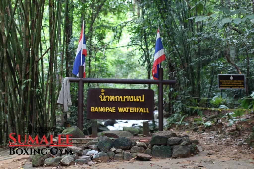 Thalang, Phuket: Your Ultimate Guide | Sumalee Boxing Gym